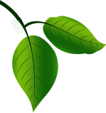 NCEC Compliance Consulting & Compliant Lab Services